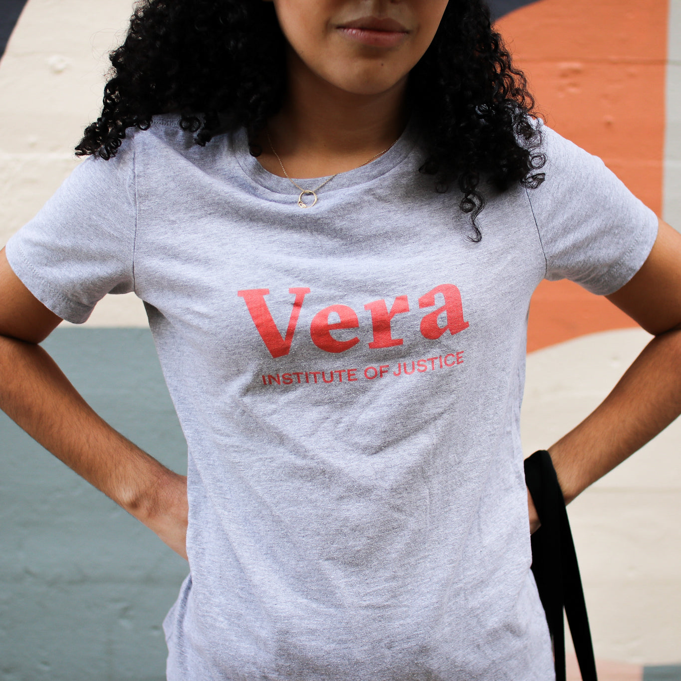 Vera Institute of Justice | Shop